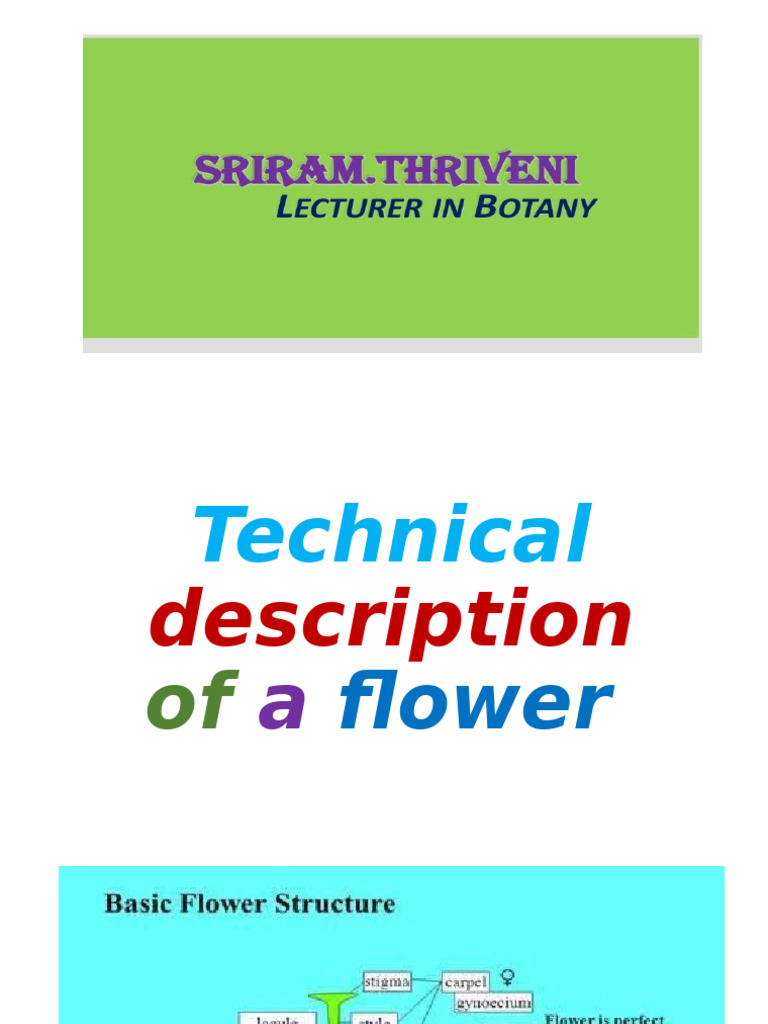 Technical Description of A Flower | PDF