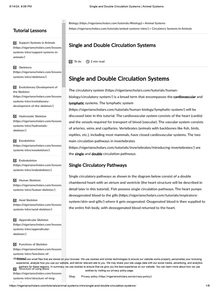 Single and Double Circulation Systems _ Animal Systems | PDF | Skeleton ...