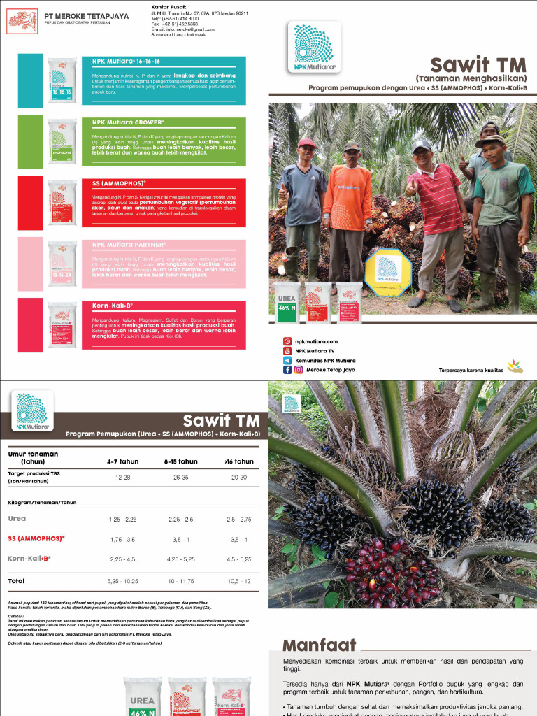 Meroke Pemupukan Sawit UREA+SS+KKB | PDF