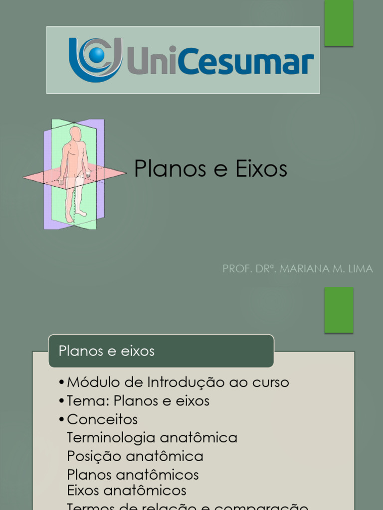 Planos e Eixos 1P9 | PDF | Anatomia | Movimentos anatômicos