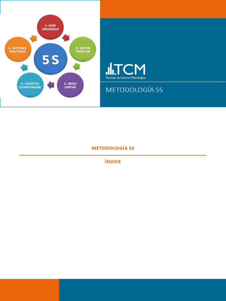 Guía Completa de la Metodología 5S | PDF | Negocios