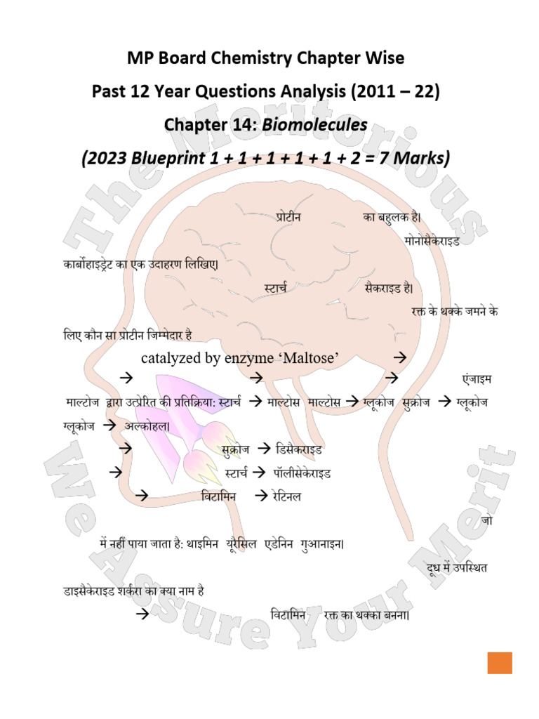 MP PYQs Chem Biomolecules | PDF