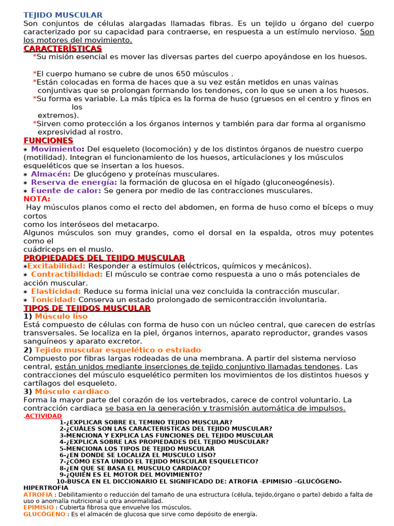 Ciencia 6 Oct-Sec.22 | PDF | Músculo | Corazón