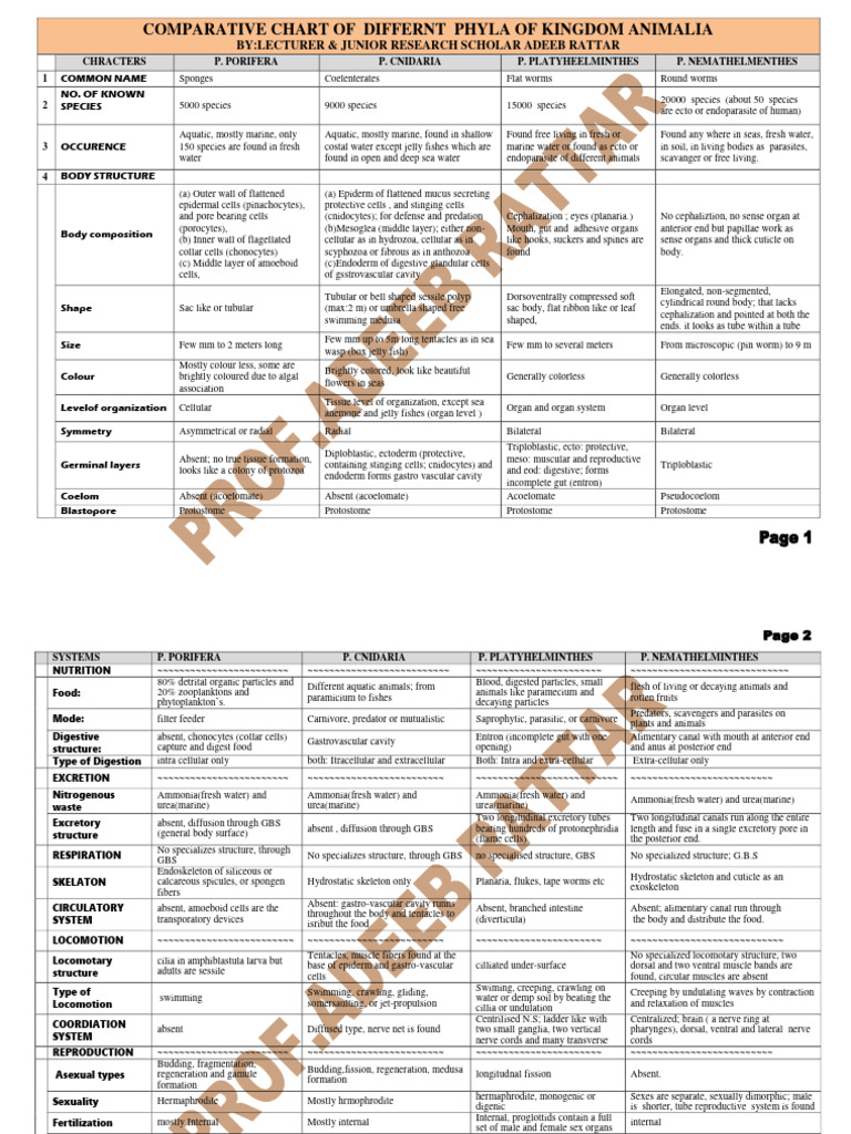 Animalia & Kingdom by Sir Adeeb Rattar-2 | PDF | Skeleton | Excretion