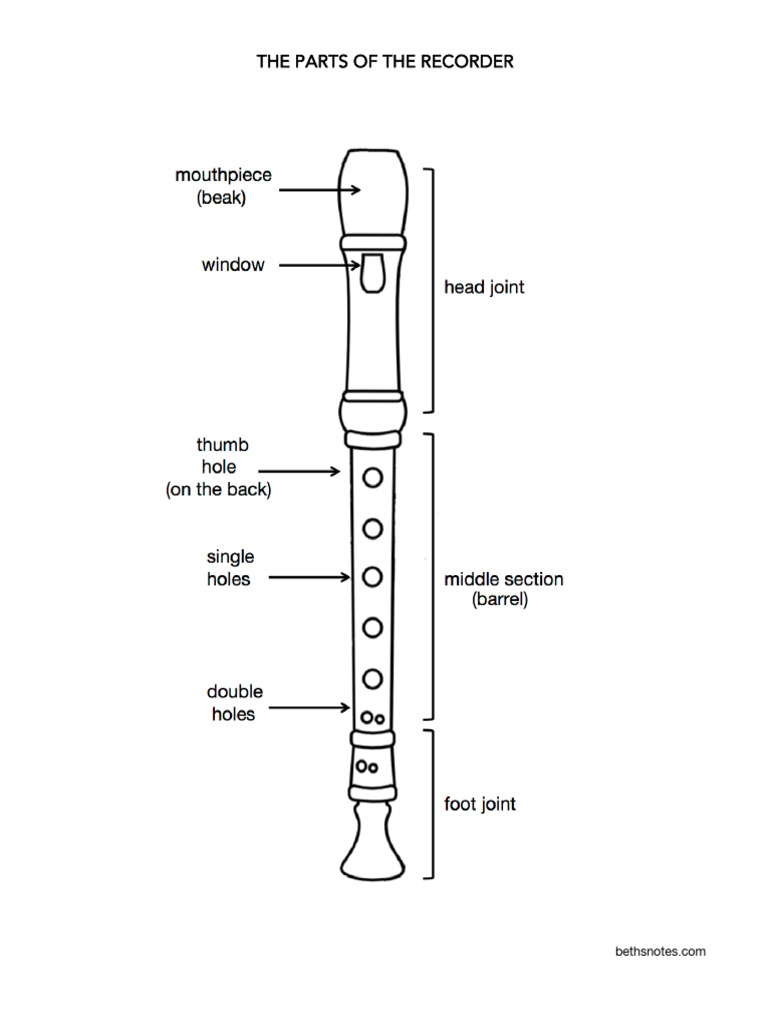 Recorder Printables | PDF | Recorder (Musical Instrument) | Musicology