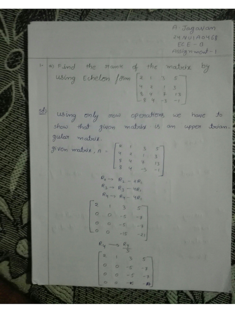 Math Assignment 1 | PDF