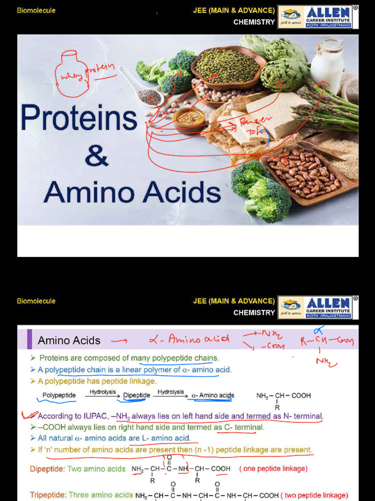 Amino Acids | PDF