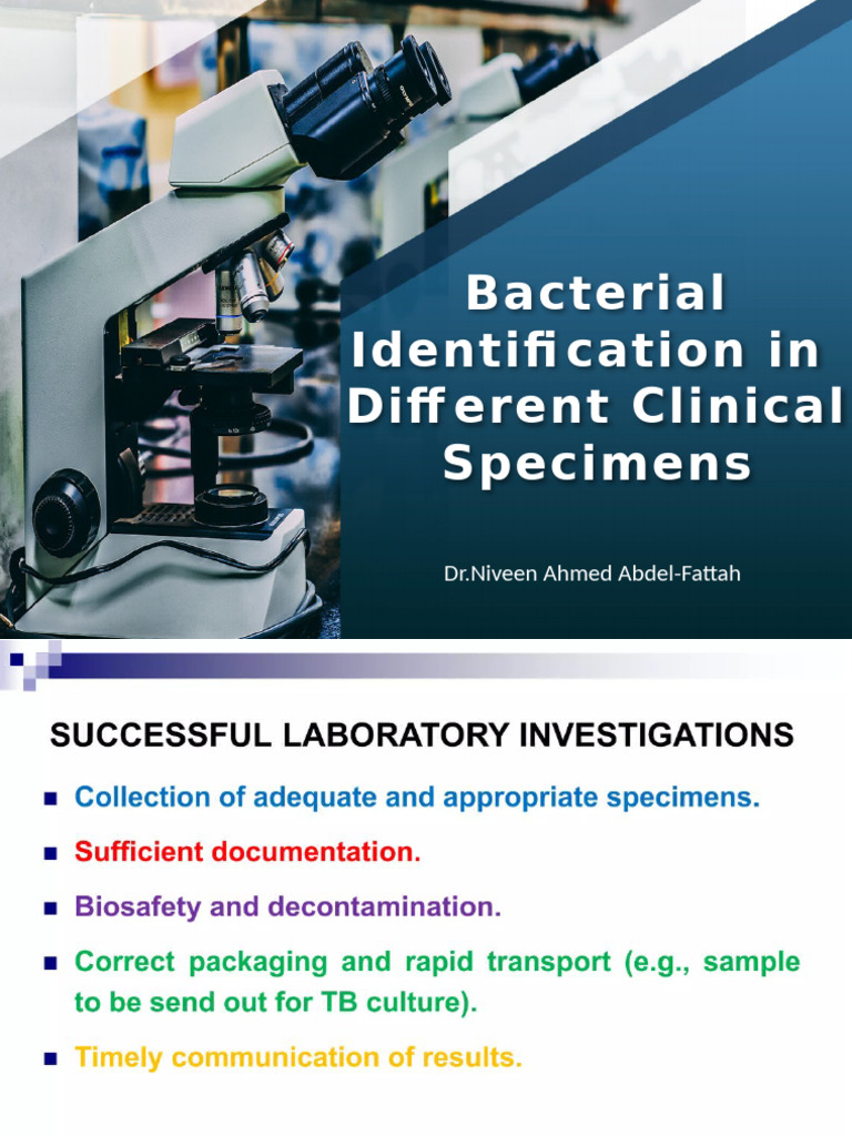 Bacterial identification | PDF | Staphylococcus | Streptococcus