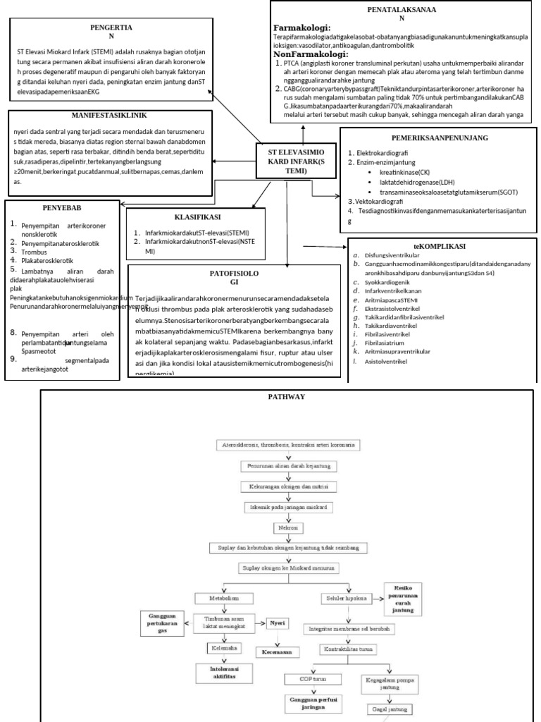 LP Stemi Ida IGD | PDF