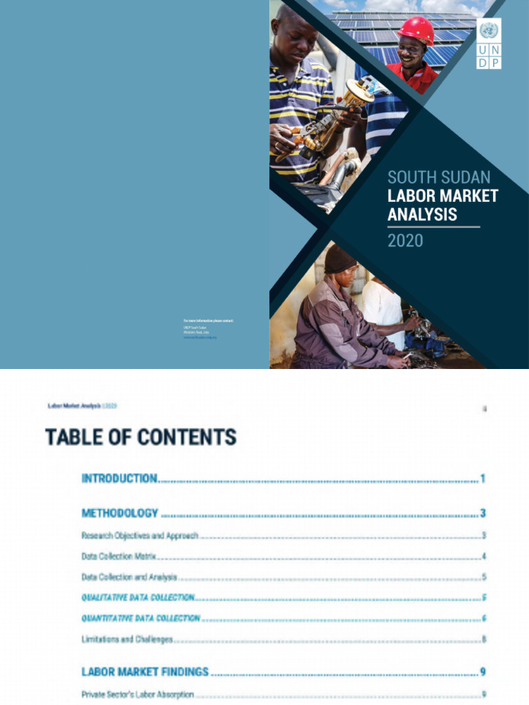 UNDP Labor Market Analysis Labor Market Assessment - 0 | PDF