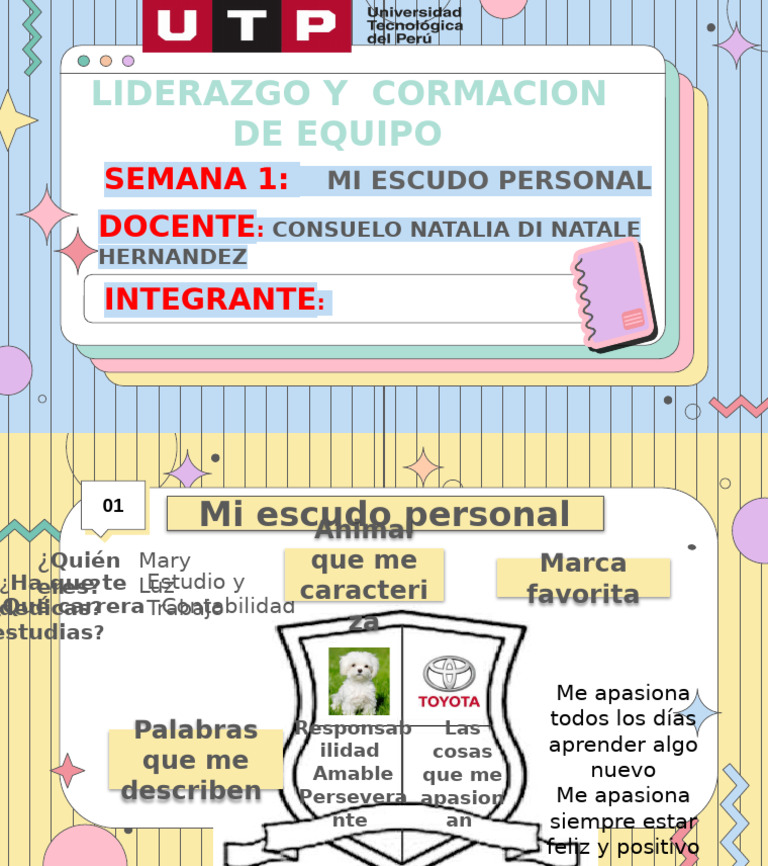 MI ESCUDO PERSONAL | PDF