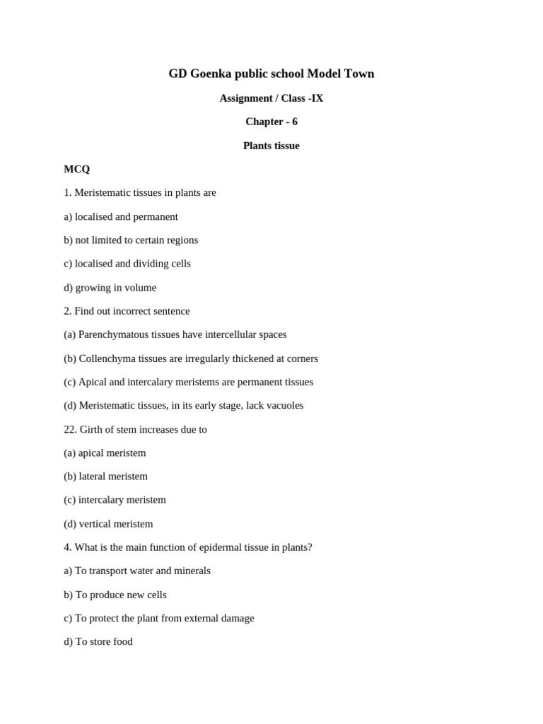 Assignment-IX-Plant Tissues | PDF | Tissue (Biology) | Plant Stem