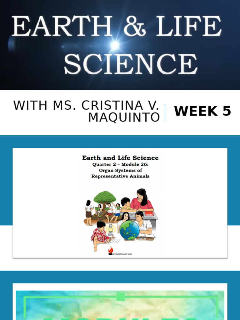 Organ Systems of Representative Animals | PDF | Respiratory System ...