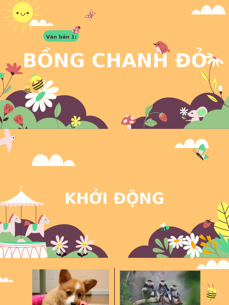 BỒNG CHANH ĐỎ | PDF