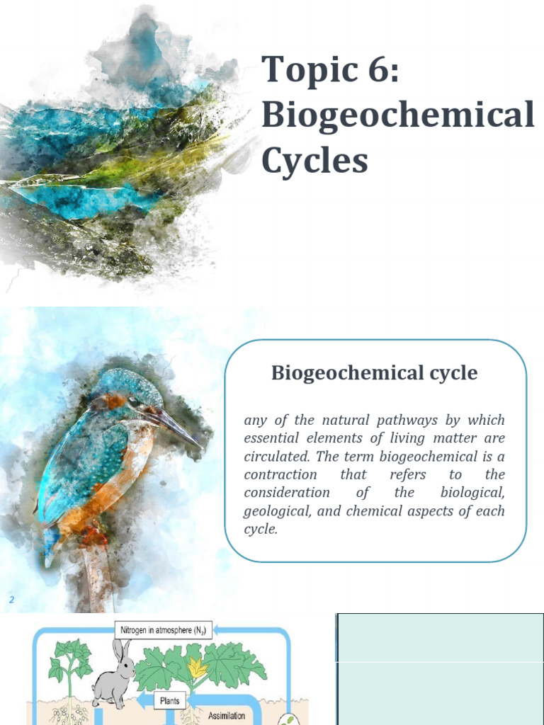 Biogeochemical Cycles Explained | PDF | Social Science | Science ...