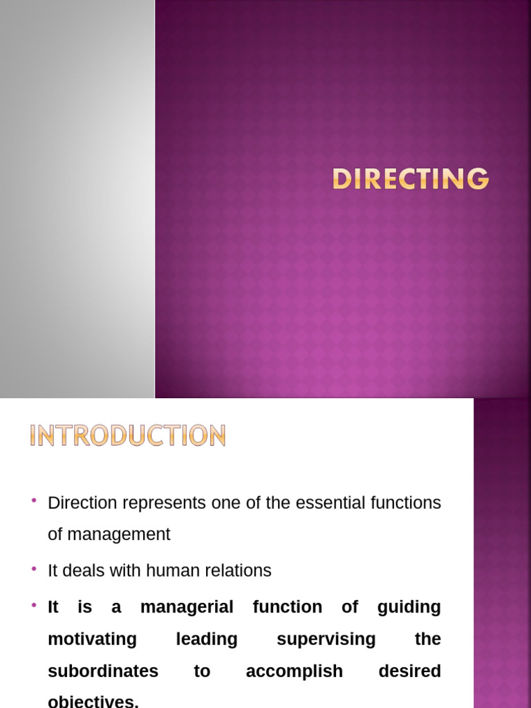 Directing | PDF | Leadership | Goal