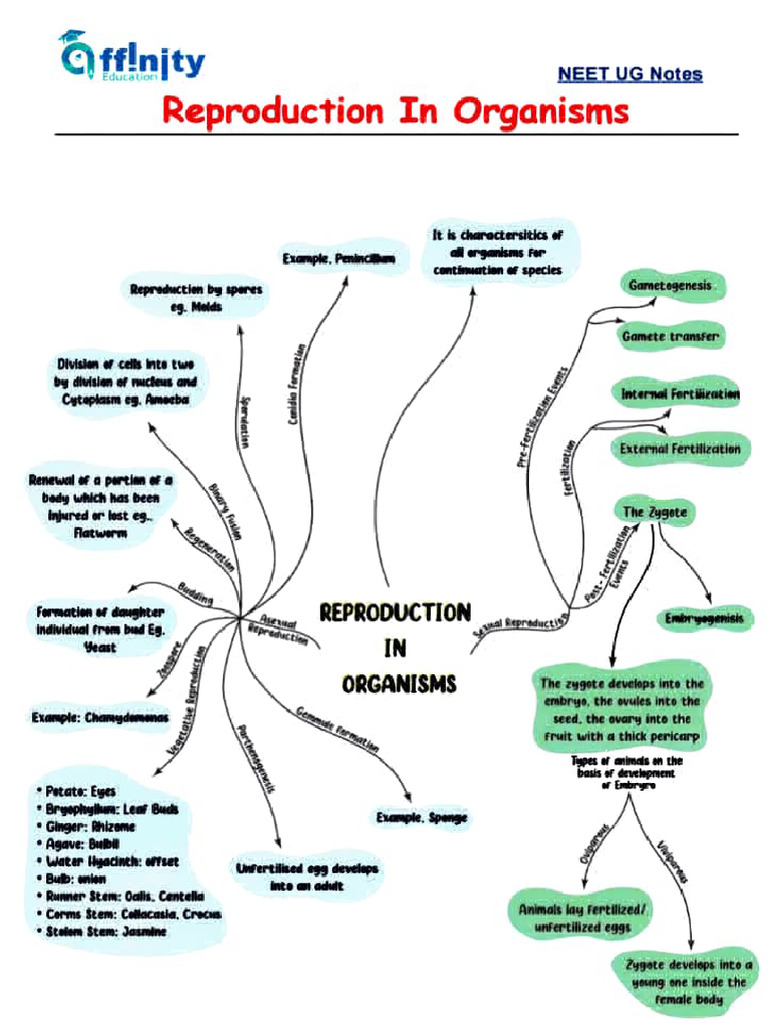 1... Reproduction in Organisms | PDF