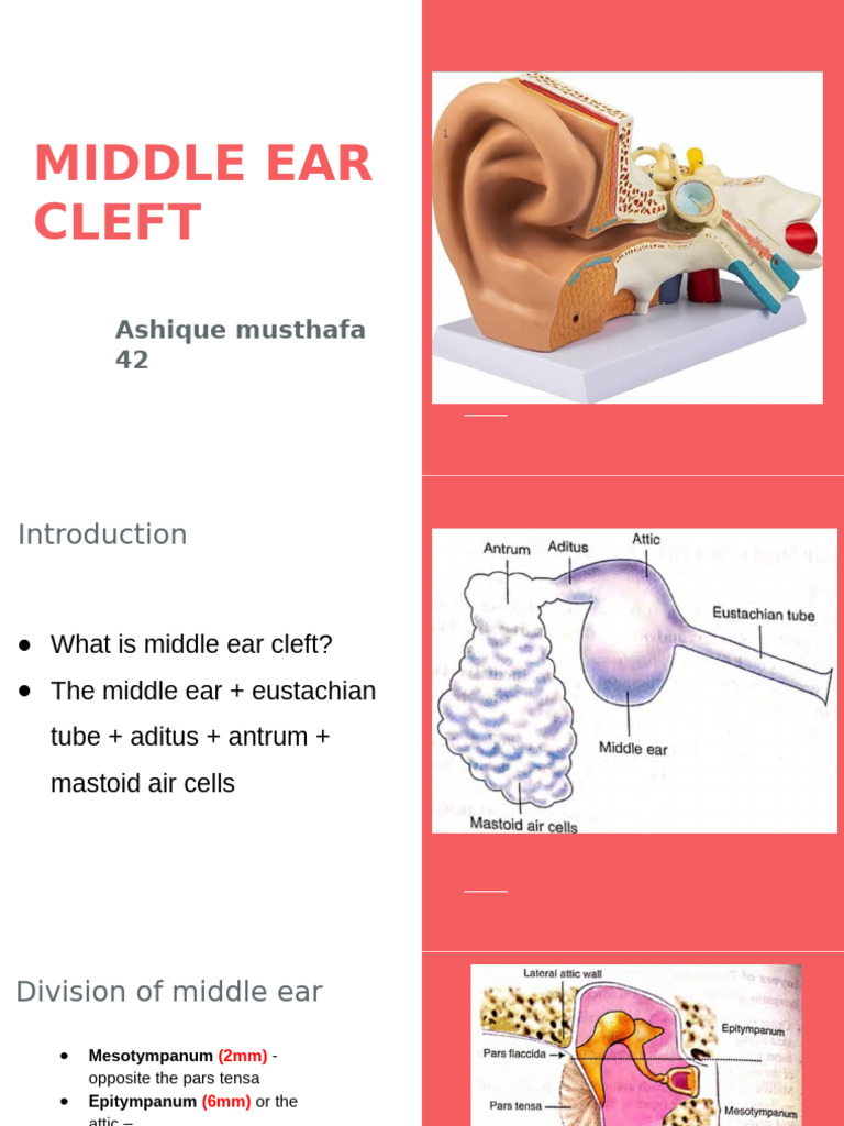 Middle Ear Cleft: Ashique Musthafa 42 | PDF | Ear | Human Anatomy