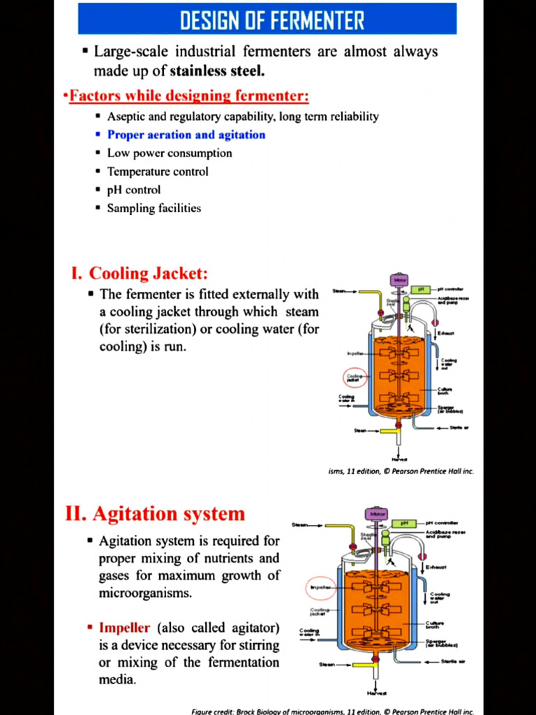 Basic Design of Fermenter | PDF | Home & Garden