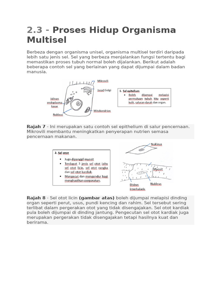 Nota Biologi Tingkatan 5 Bab 2 | PDF