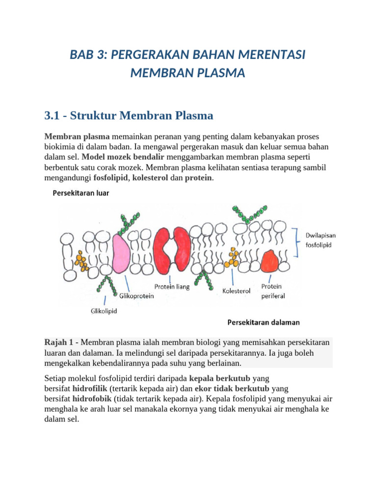 Nota Biologi Tingkatan 4 Bab 3 | PDF
