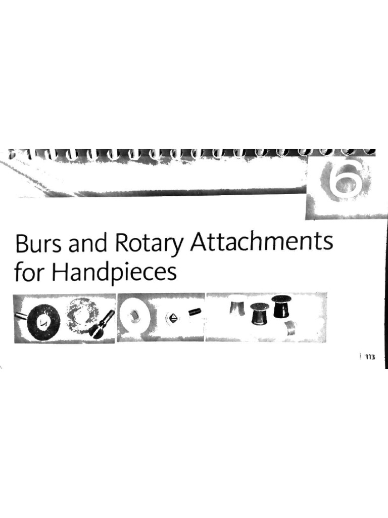 Burs | PDF