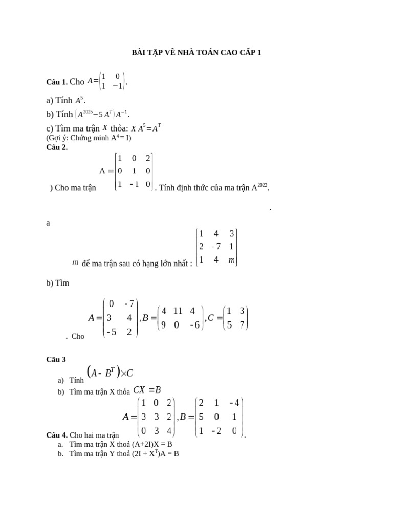 BTVN Toán CC1 | PDF