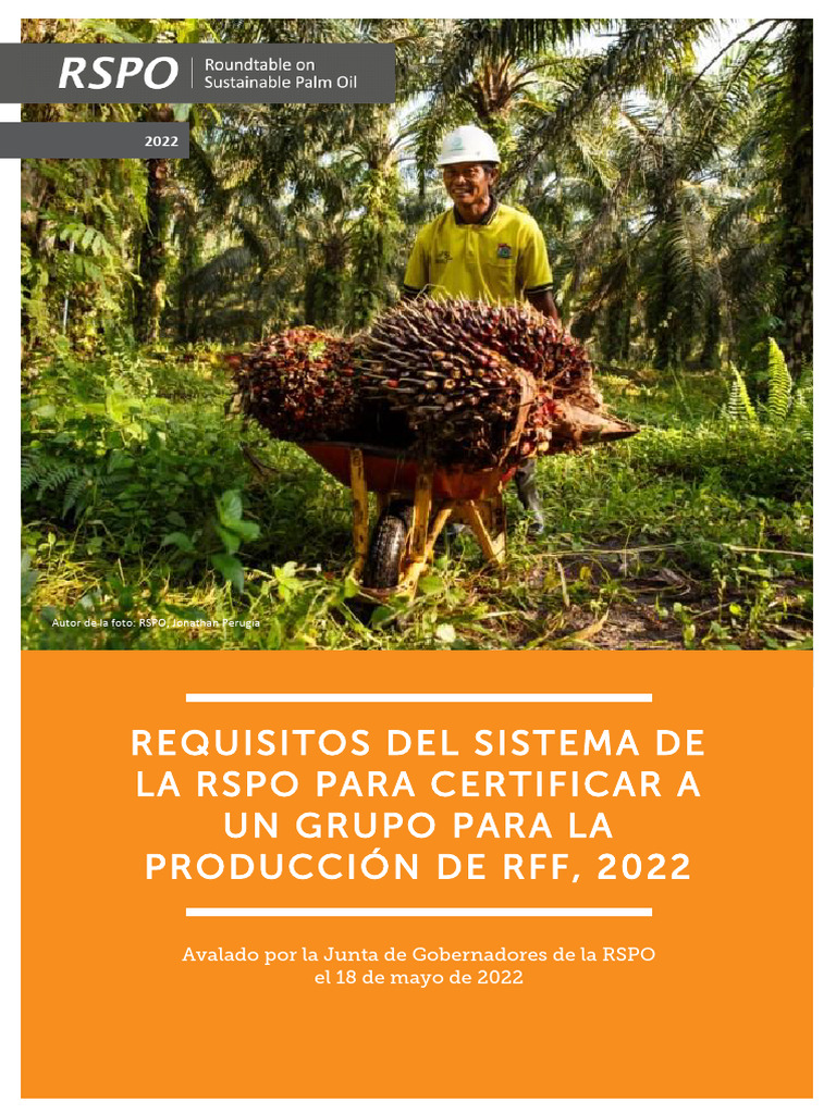RSPO-Group-Certification 2022 SPA | PDF | Auditoría