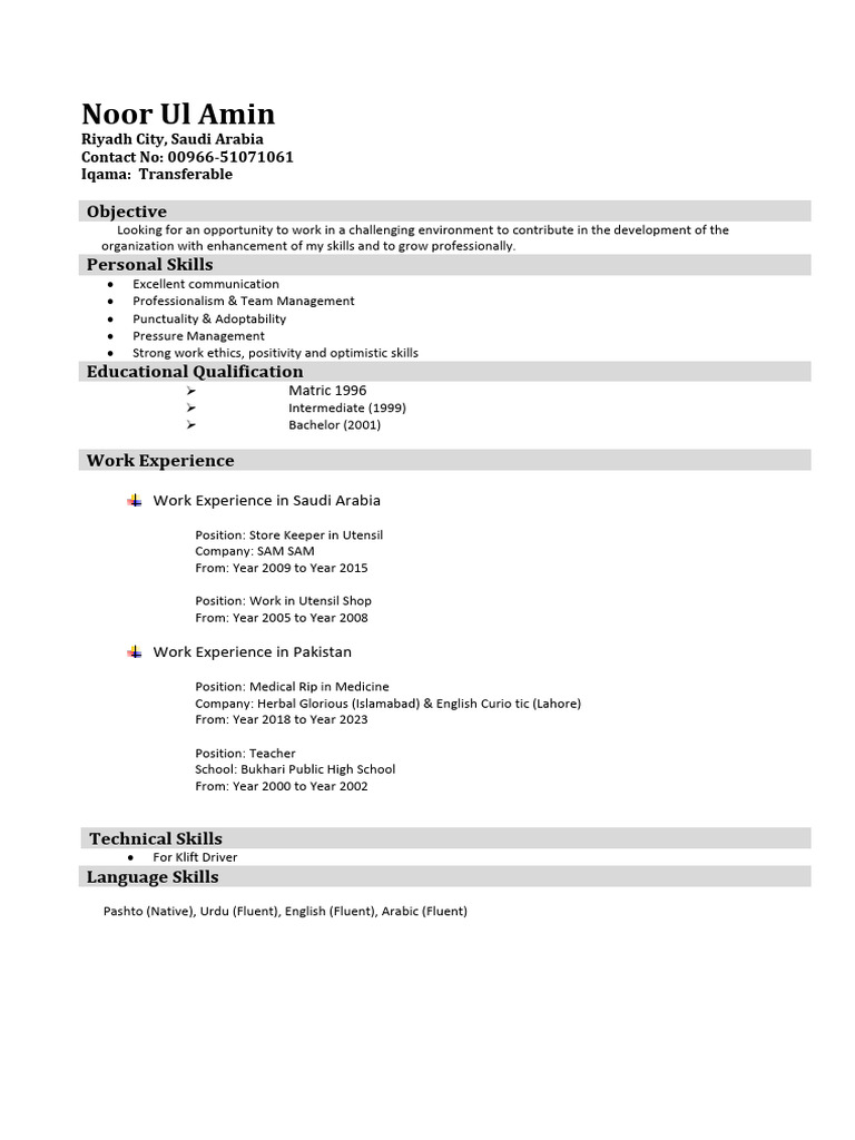 Professional CV of Noor Ul Amin | PDF