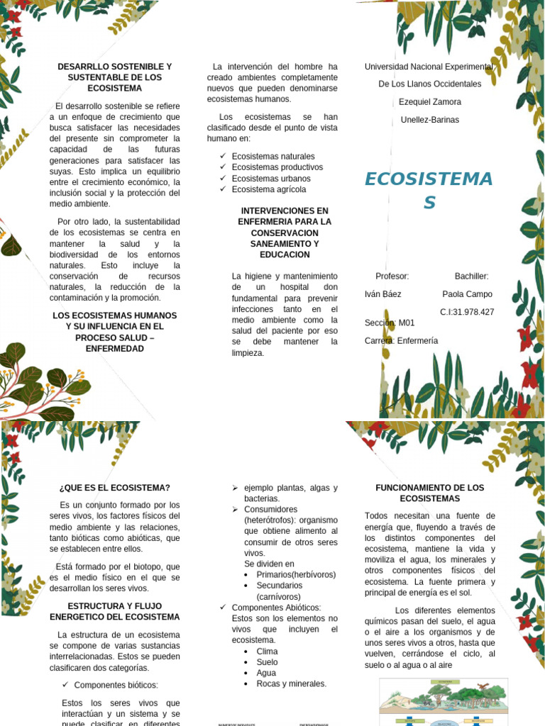 TRIPTICO - Ecosistemas | PDF | Ecosistema | Suelo