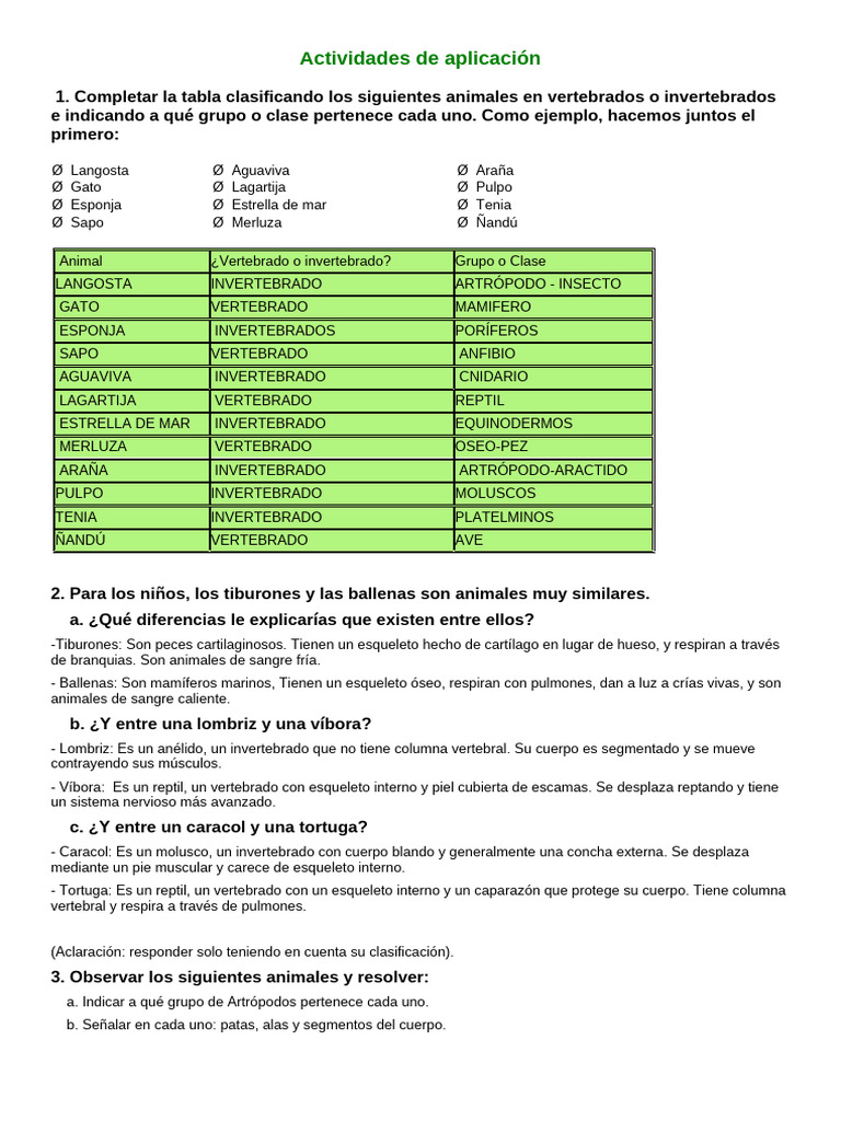Activ de Aplicacion Los Animales-1 | PDF | Esqueleto | Vertebrados