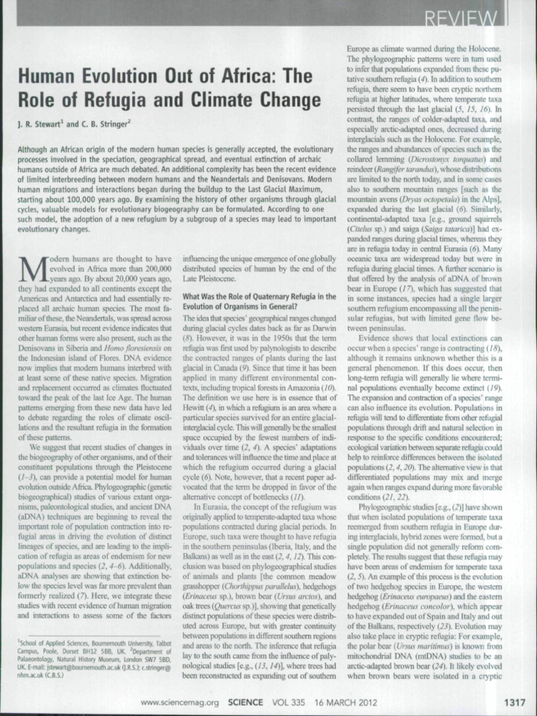 The Human Evolution Out of Africa | PDF | Neanderthal | Homo
