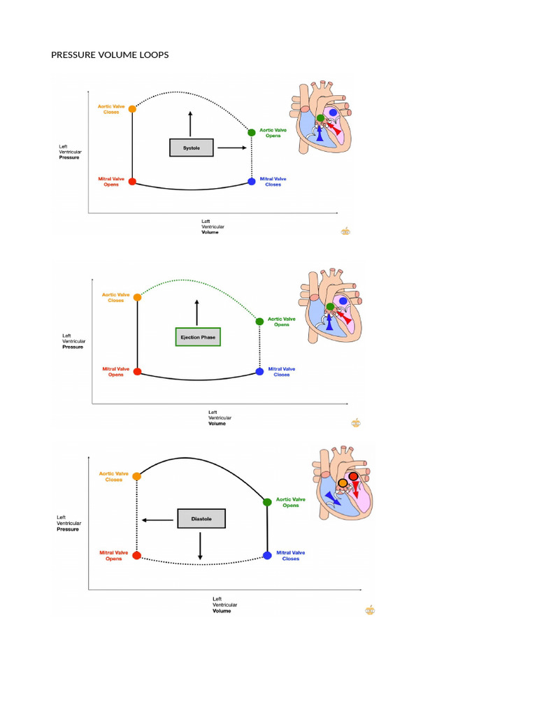 Pressure Volume Loops | PDF