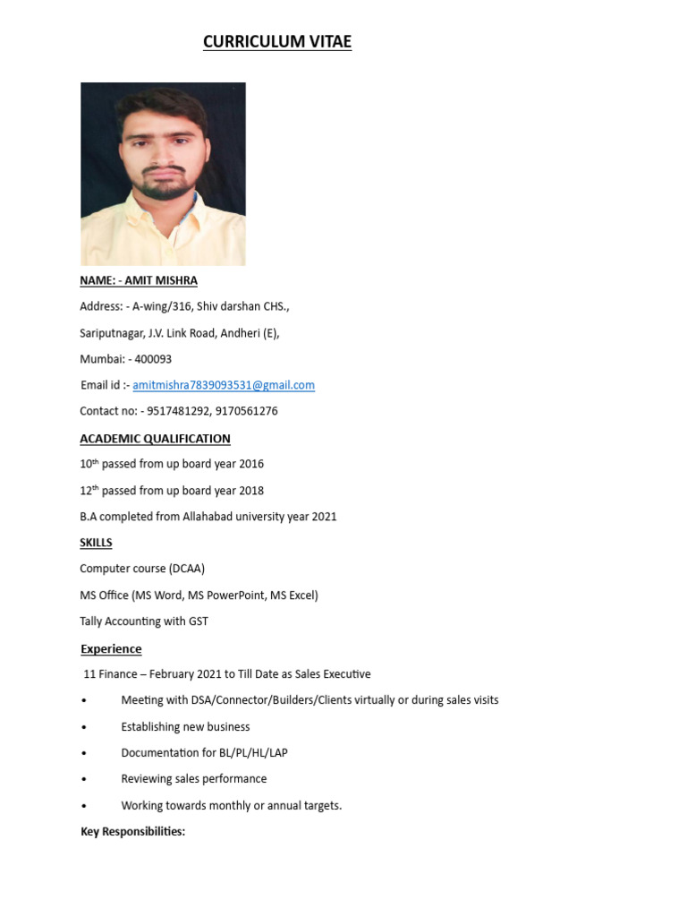 Amit Mishra's Professional CV | PDF