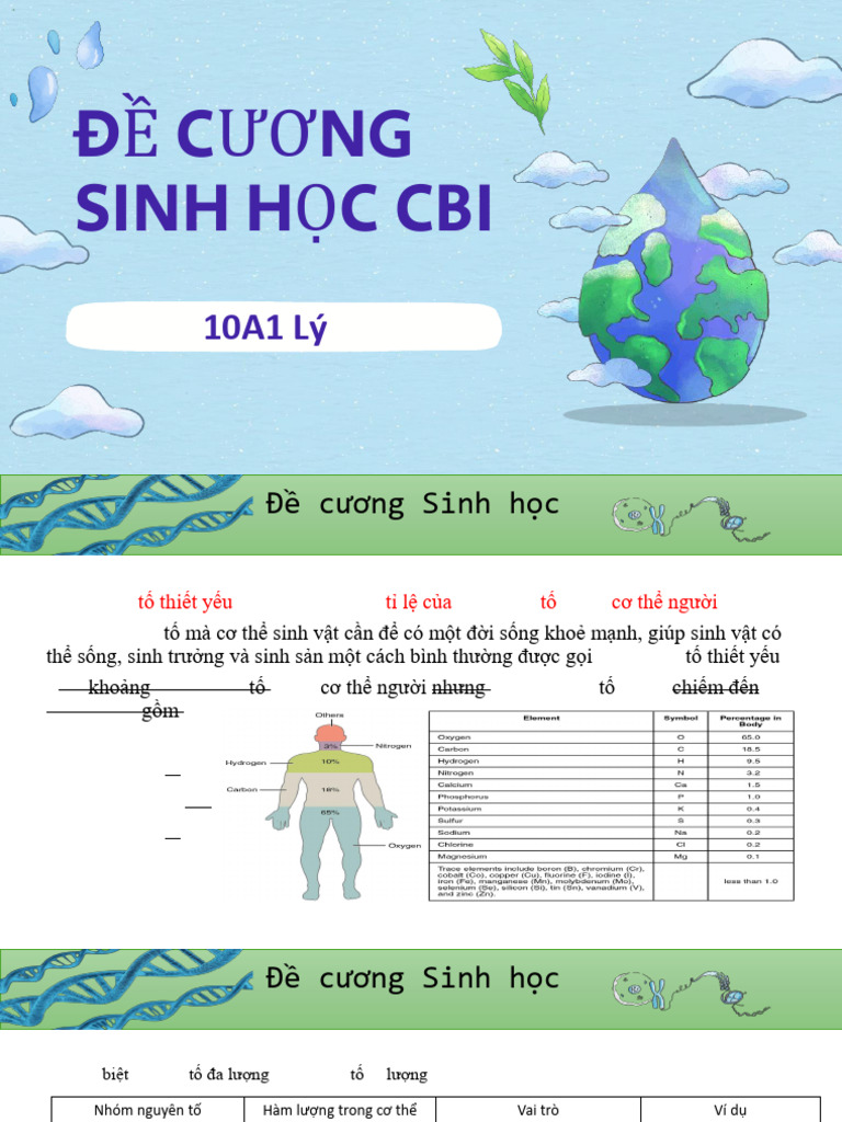 Đề Cương Sinh Học CBI 10A1 Lý- Co Chua | PDF