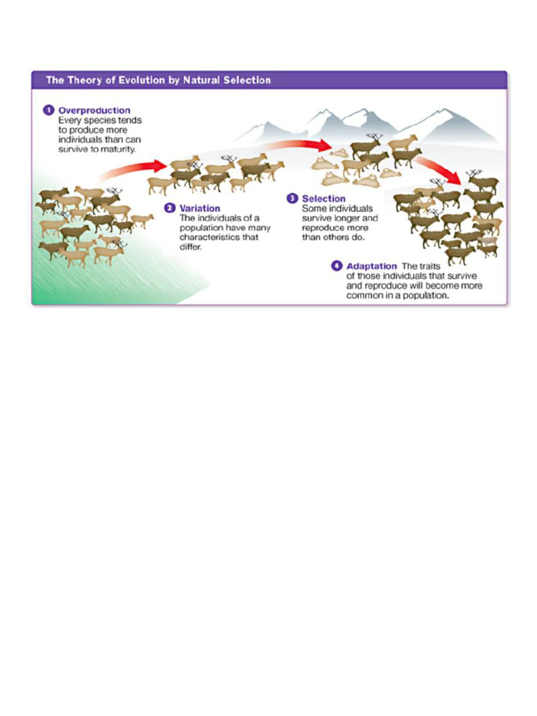Genetic Variation and Modification Techniques | PDF | Genetic ...