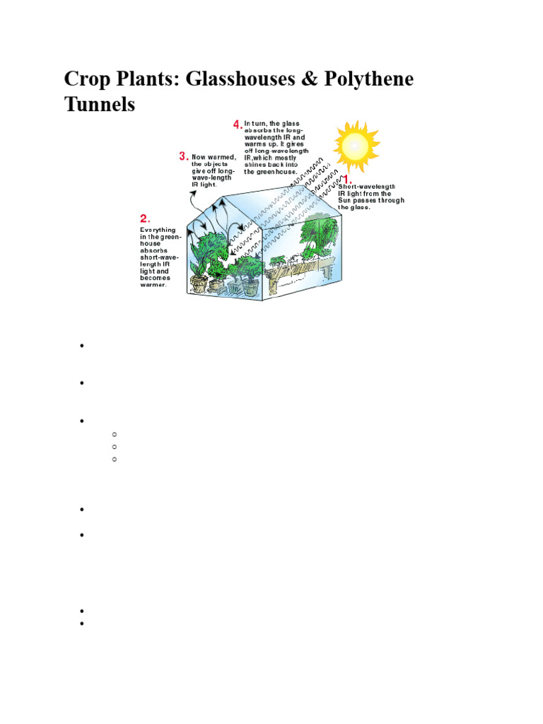 Crop Plants | PDF | Photosynthesis | Greenhouse
