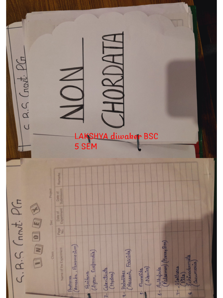 ZOOLozy 5 Sem Assignment by Jeevan Chandra Bhatt | PDF