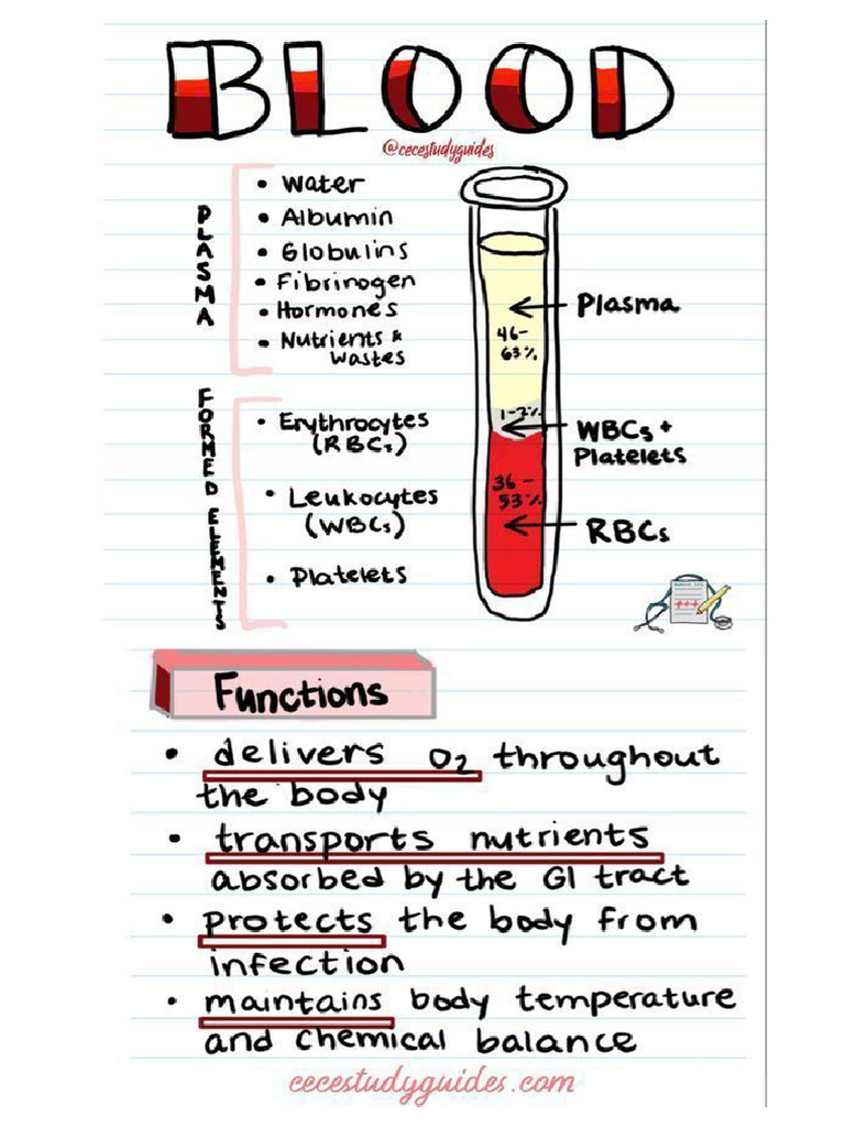 Blood #Medschool #Doctor #Medicalstudent - Image Credits - Cece's Study ...