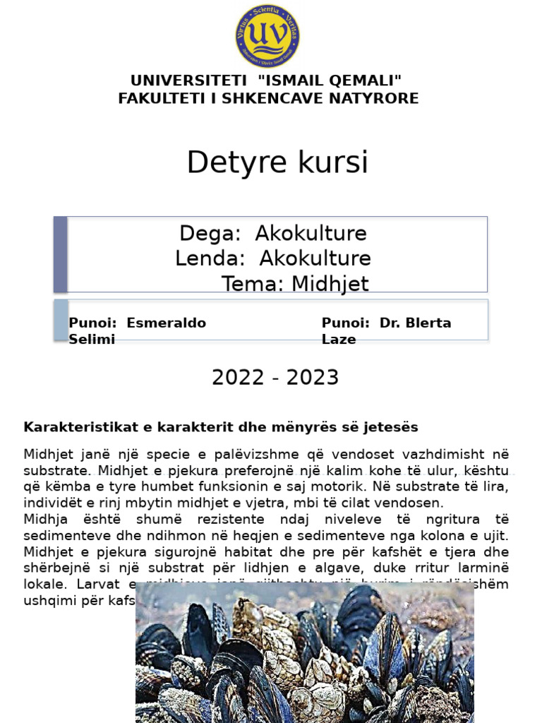 Esmeraldo Selimi MIDHJET | PDF