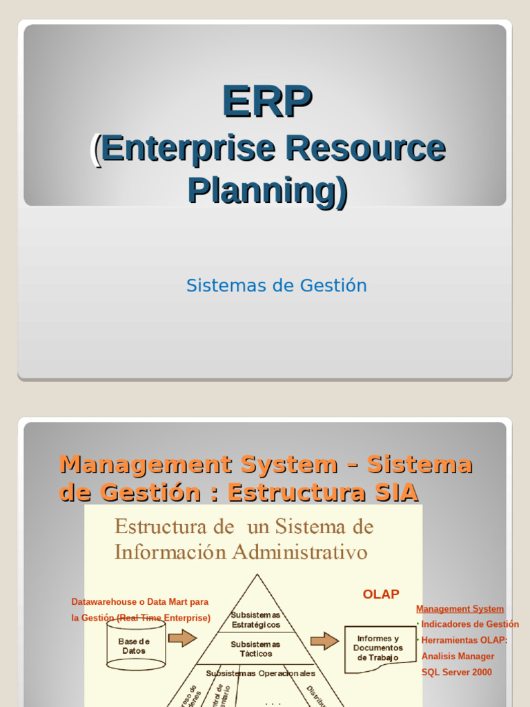Clase-1-ERP | PDF | Planificación de recursos empresariales | Usuario (informática)