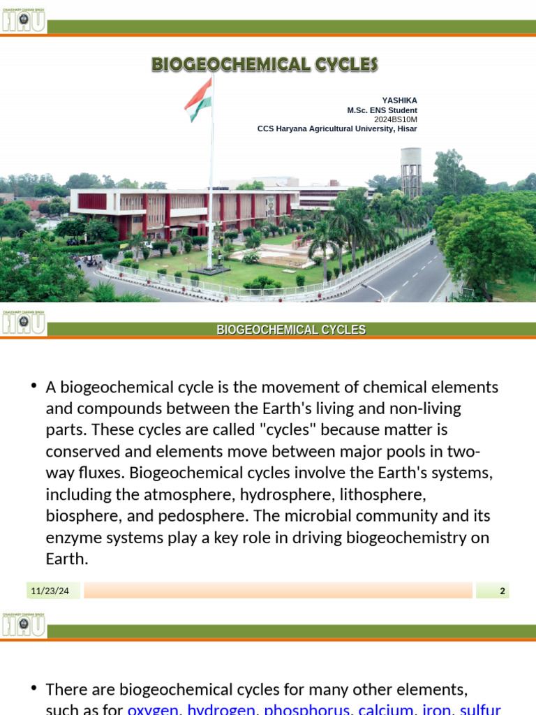 Biogeochemical Cycles | PDF | Biogeochemistry | Phosphorus