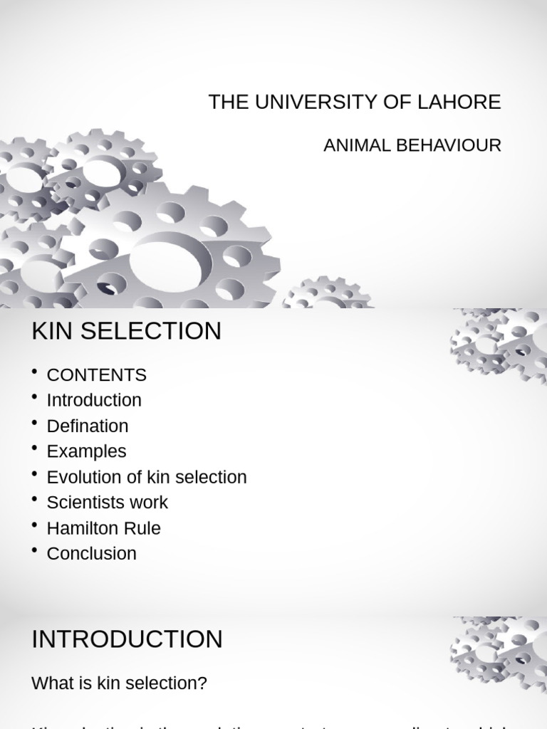 Kin Selection: Evolutionary Strategy Explained | PDF | Natural ...