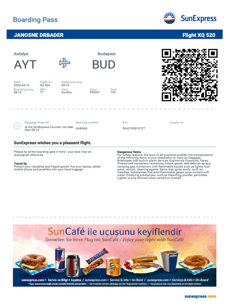 KAB54G BoardingPass | PDF | Baggage | Materials