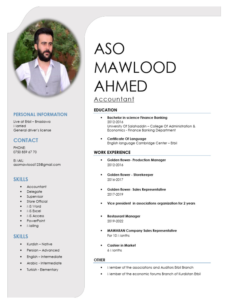 Aso Mawlood Ahmed CV | PDF