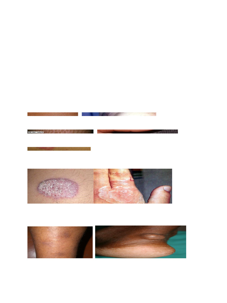 Dermato 1er Parcial. | PDF | Piel | Epidermis