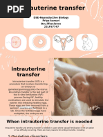 Episiotomy & Episiorrhaphy: Dr. Sumayya | PDF | Childbirth | Medical ...