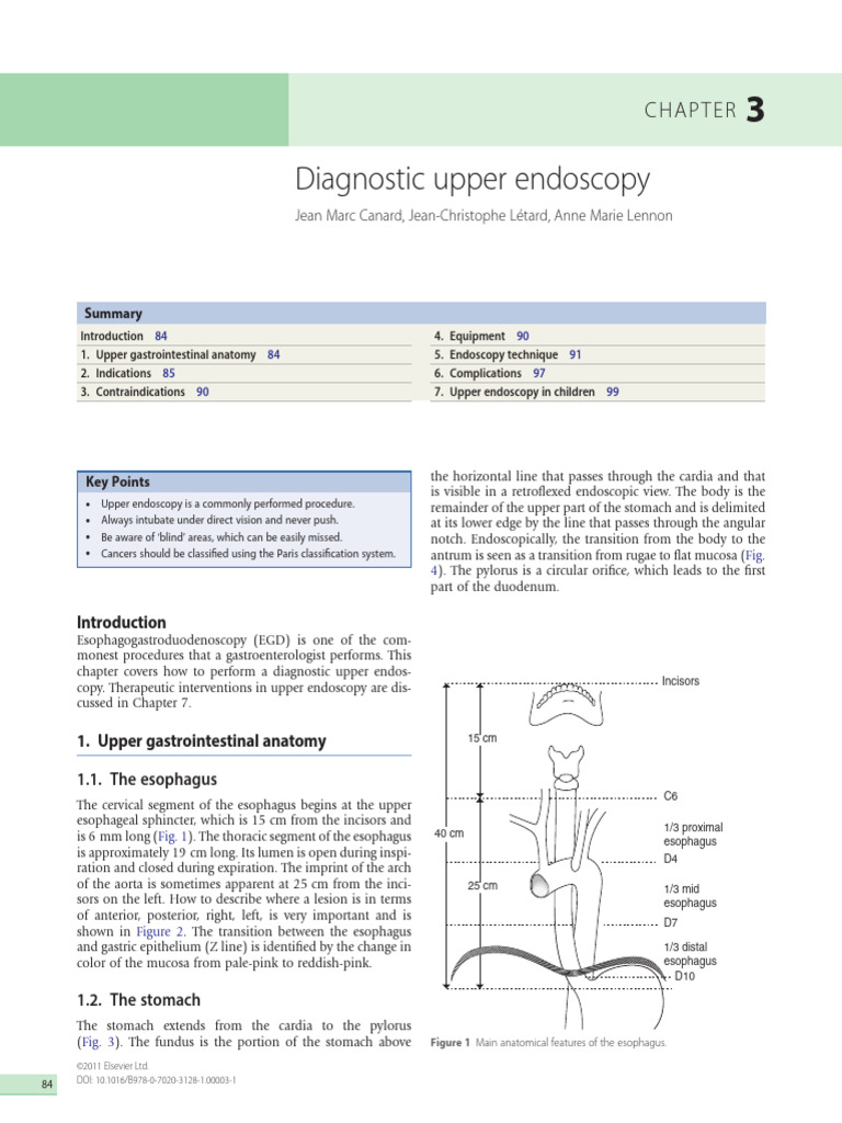 3 Diagnostic Upper Endos | PDF | Stomach | Esophagus