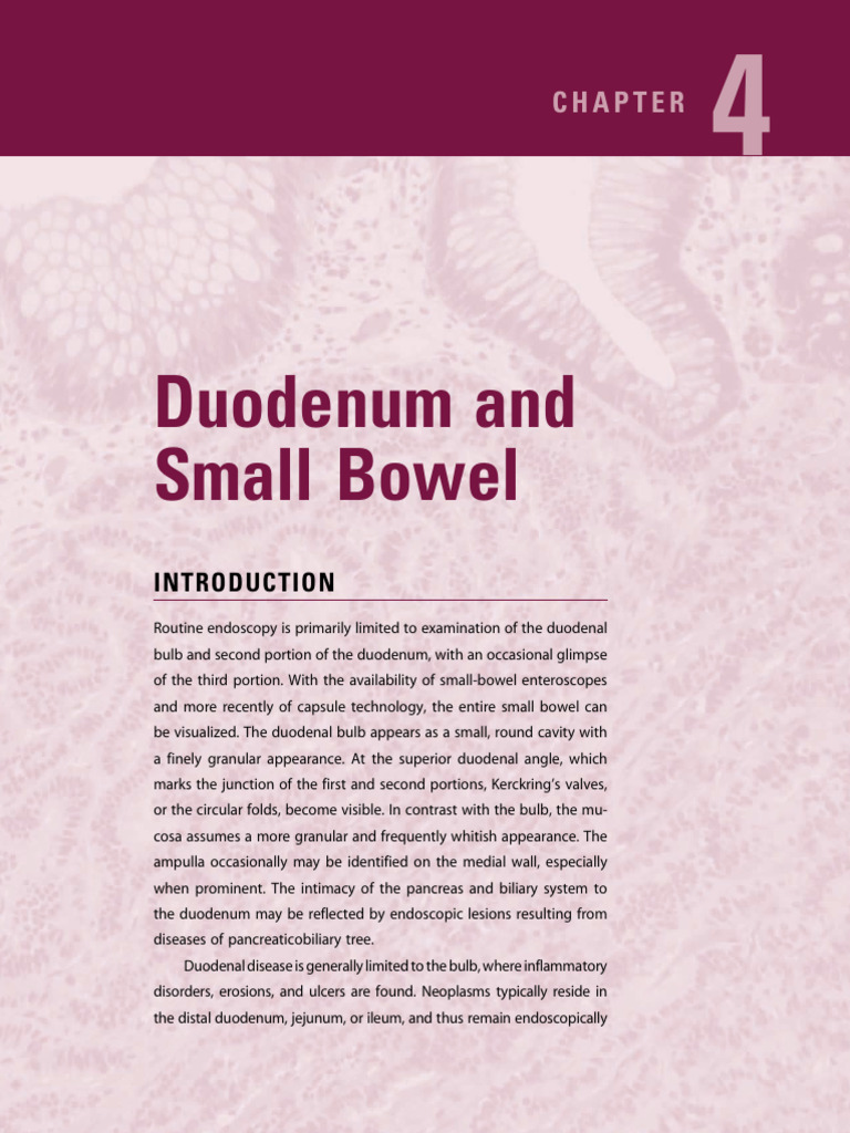 Atlas Dudenum and Small Bowel | PDF | Stomach | Gastrointestinal Tract