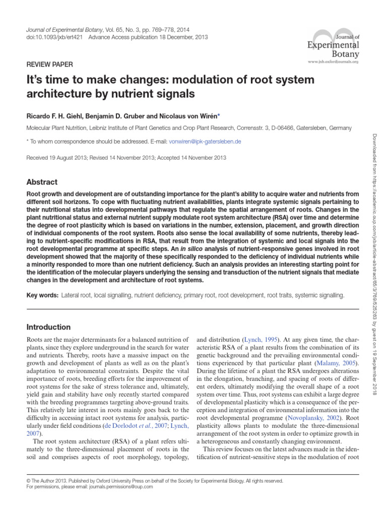 It's Time To Make Changes | PDF | Root | Auxin